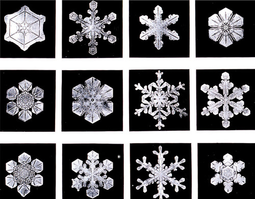 Snowflake Bentley & Winter Craft | Days of Chalk and Chocolate