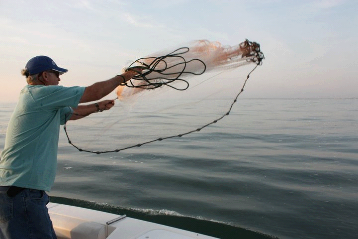 Soalan-soalan Latihan Bahasa Malaysia: Tahun 6 : Kertas Objektif