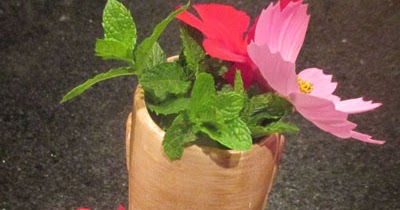 cocktail virgin slut: test pilot