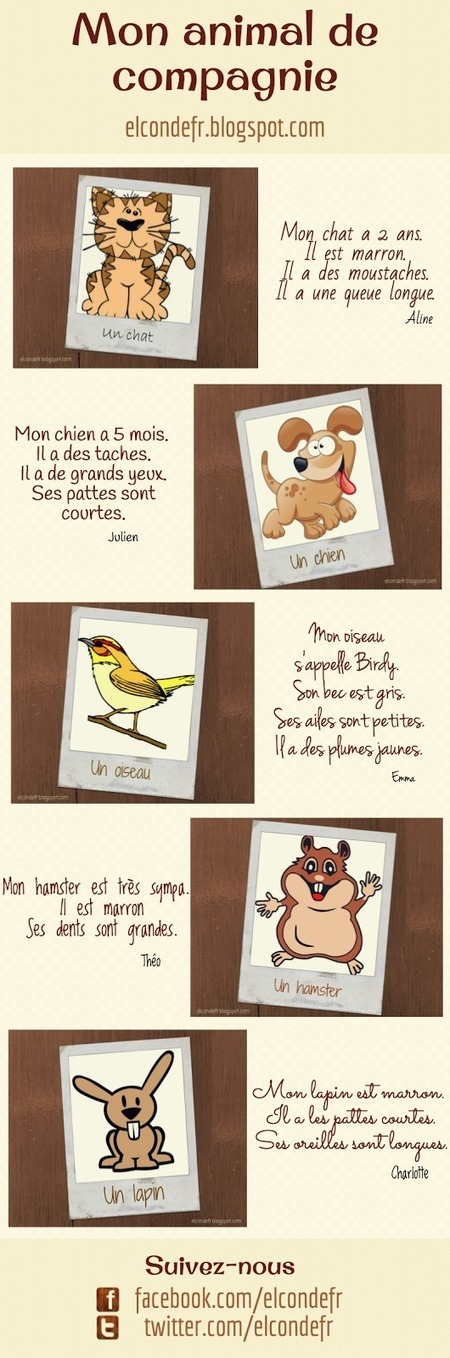 Le blog-fle de Mamen: LES ANIMAUX