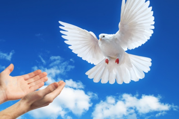 Factos & Quotidiano: Dia da Paz: O Que Celebrar?