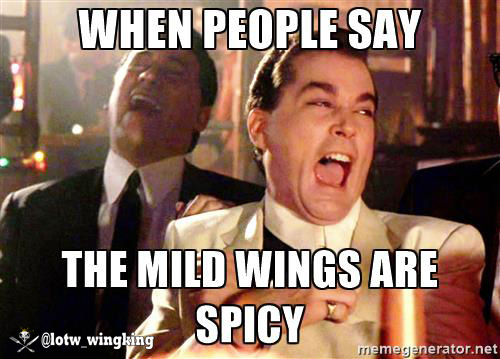 LORD of the WINGS (or how I learned to stop worrying and love the ...