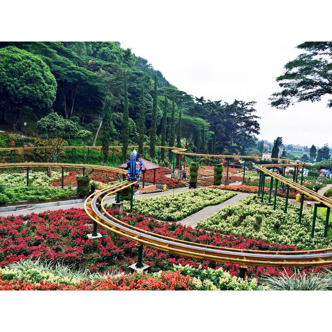 Taman Rekreasi Selecta, tempat wisata asyik bersama keluarga di Kota ...