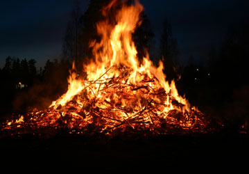 Bland Trots & Triss i tjejer