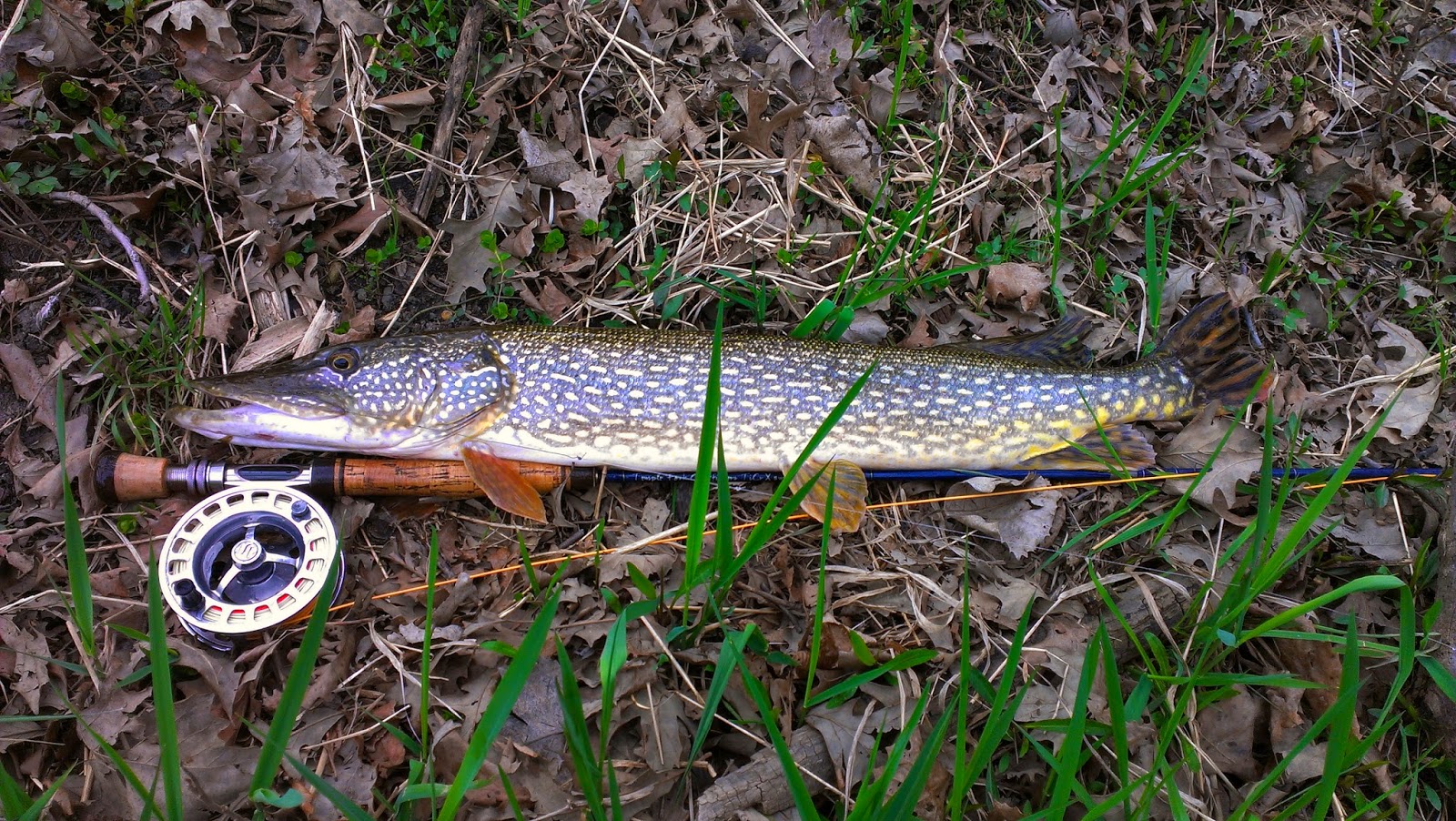 Bizarre Angler: April 2014