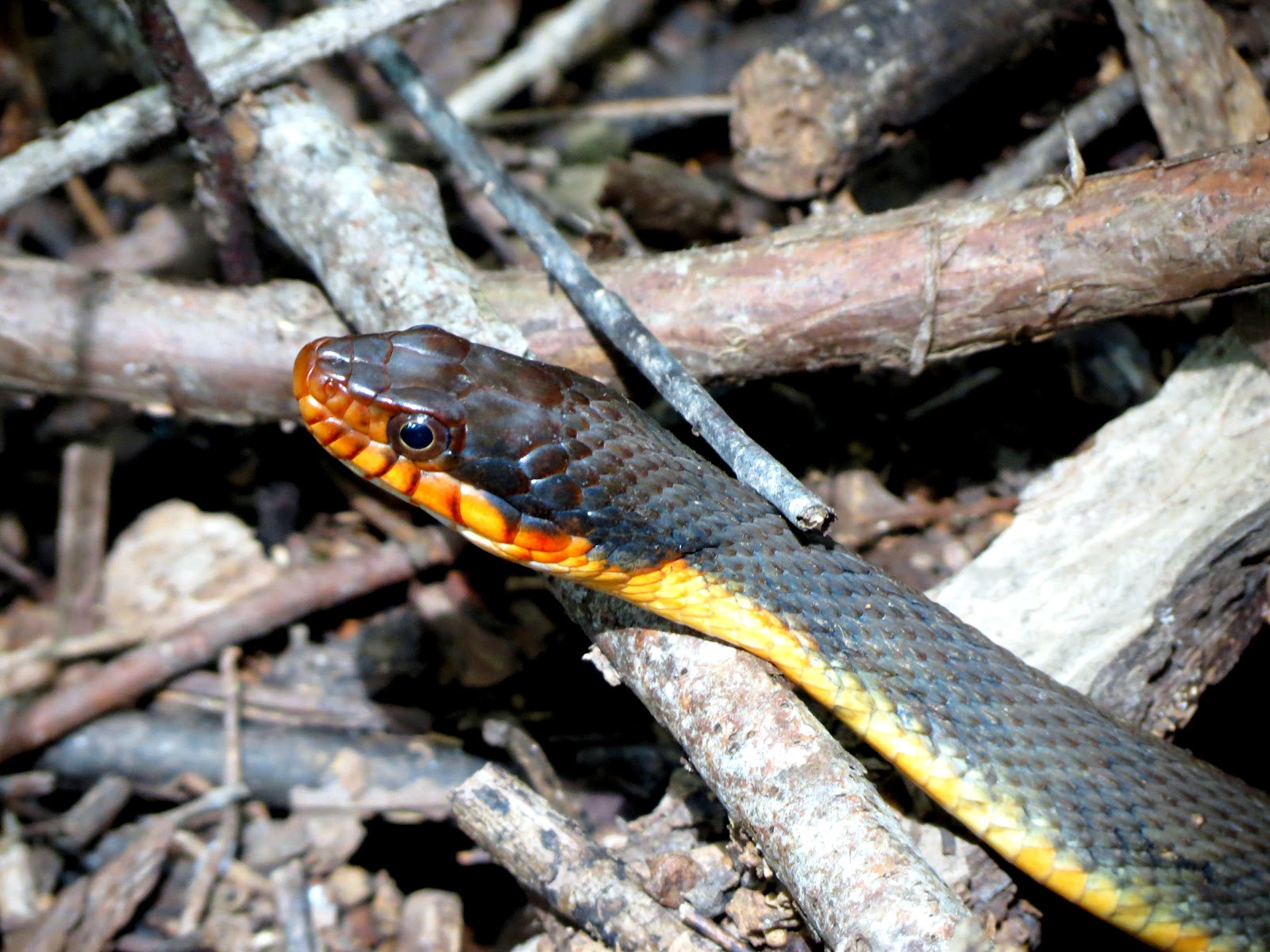 Another Take on Life, the World, and Adventure: More to Explore