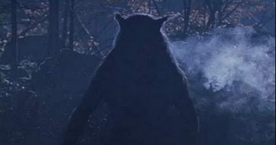 The Fortean Slip: Werewolf Woods: Real Dogman Encounter The Fortean Slip: Werewolf Woods: Real Dogman Encounter