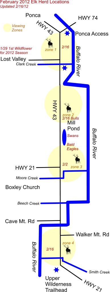 Arkansas Wildlife Photography: Outstanding Elk Viewing, Wildflowers ...