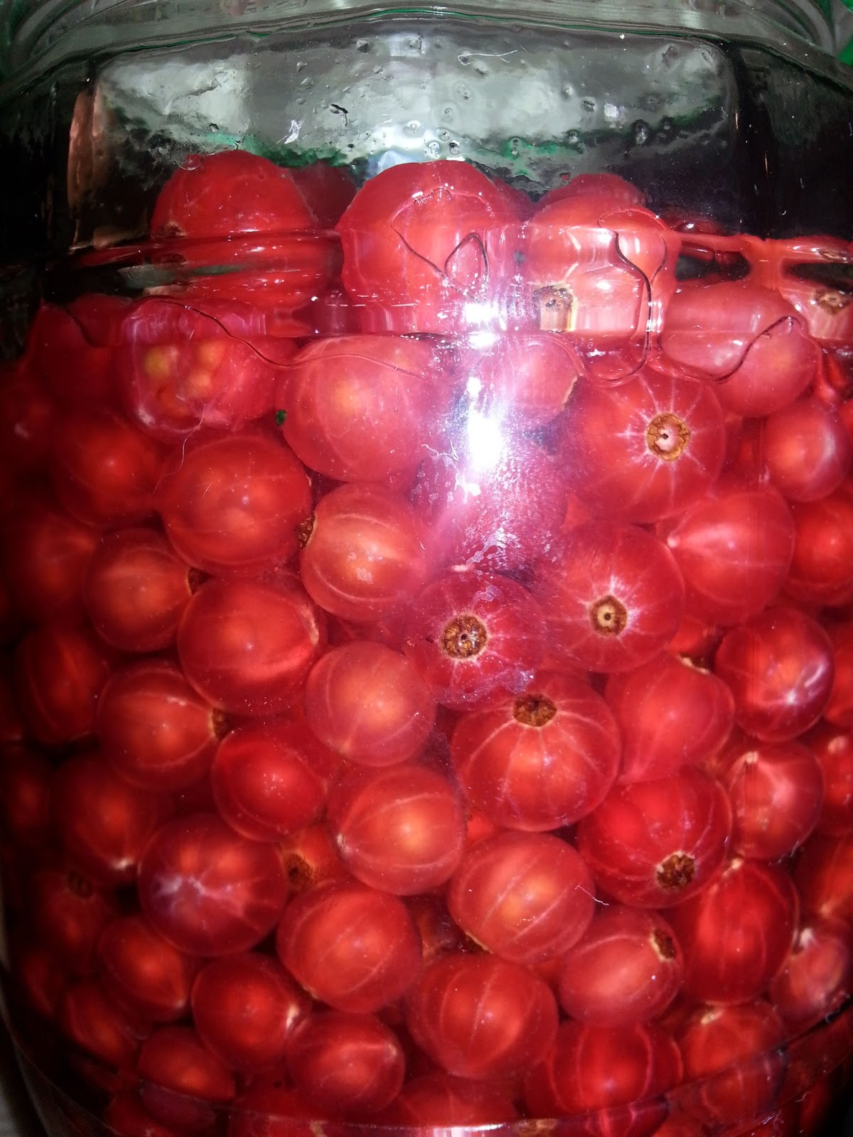 Brians blog: Råsyltede ribs - Pickled red currant berries