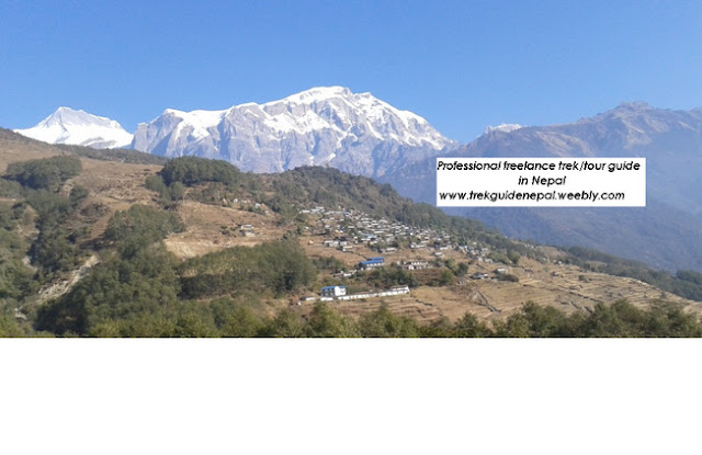 Professional freelancer trekking/tour/birding guide in Pokhara, Nepal ...