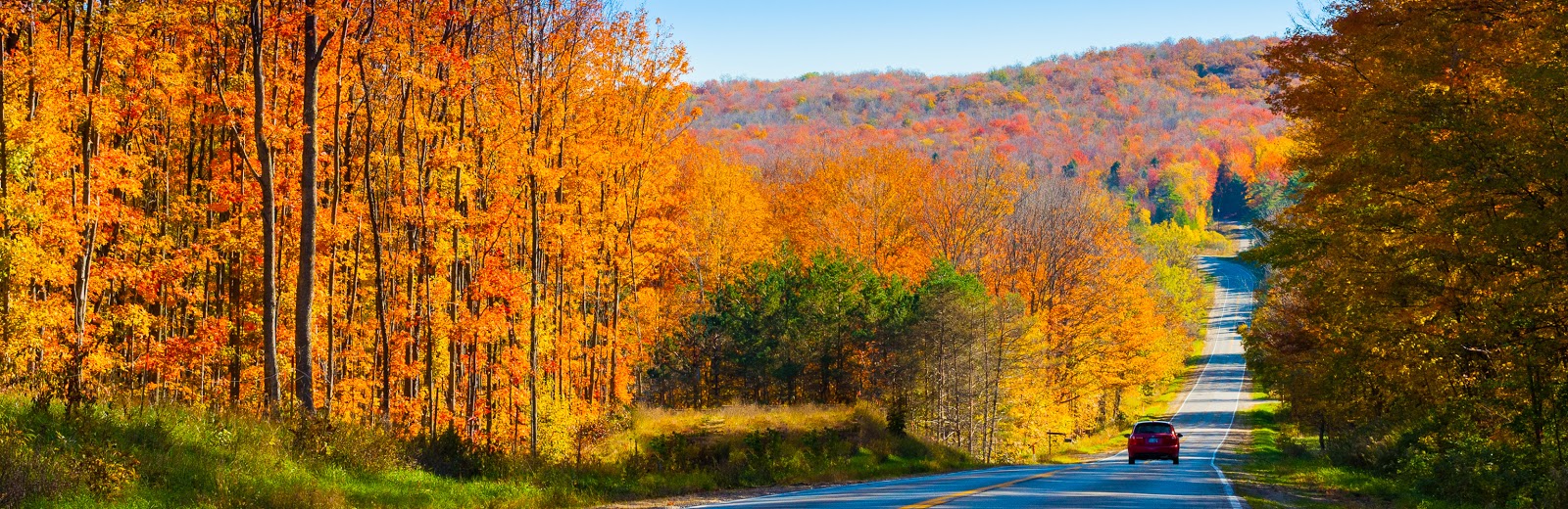 Steve Q Photo: Michigan Fall Color 2010 Day 1 & Day 2 Petoskey ...