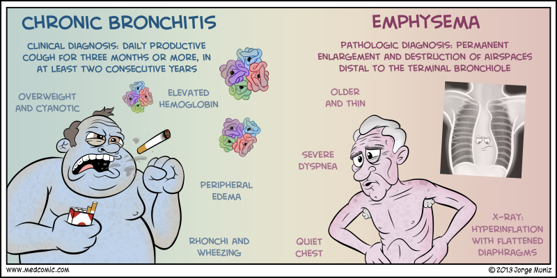 Quike And Vivis World Chronic Bronchitis Vs Emphysema