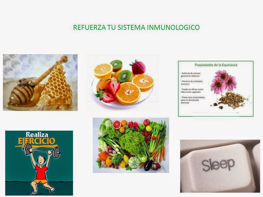 Terapias Complementarias: Refuerza tu sistema inmunitario