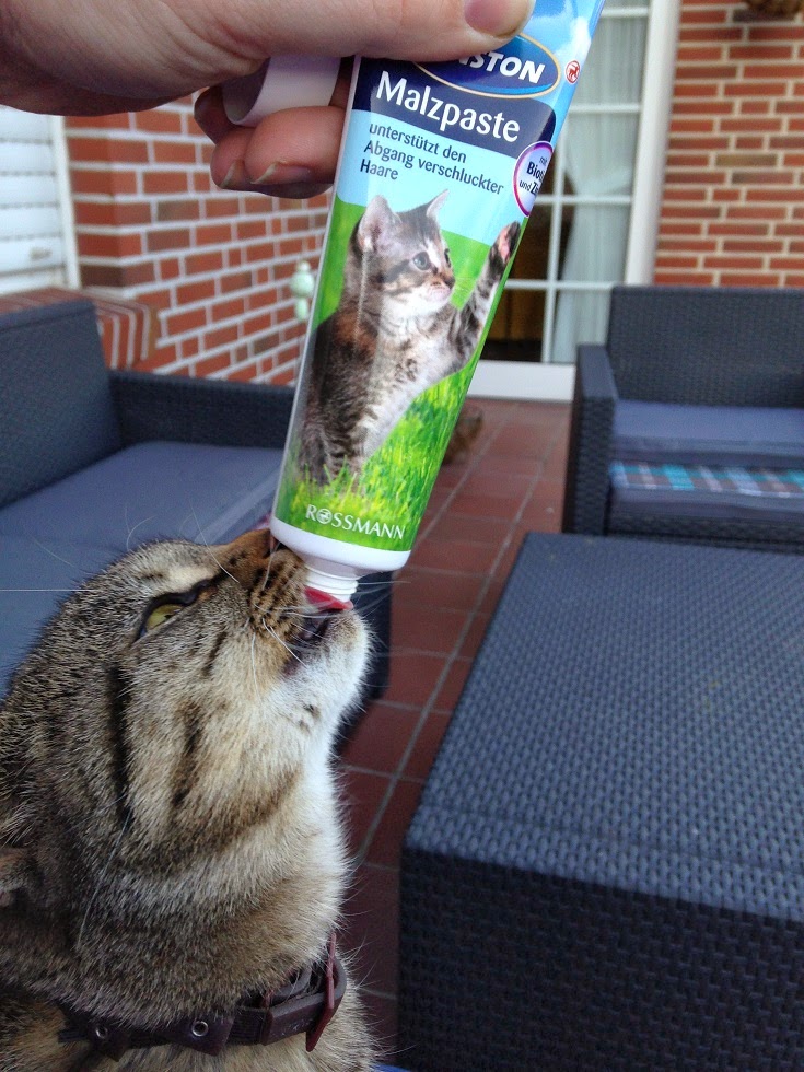 freedomsfly: Winston Malzpaste Testbericht