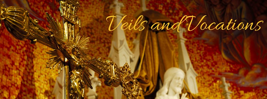 Veils and Vocations: Teaching Vocations: The Mass Kit