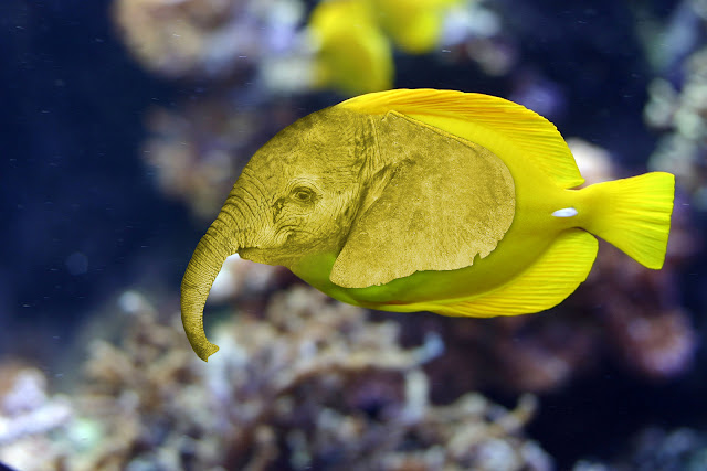Ben's Artwork: Elephant Tang