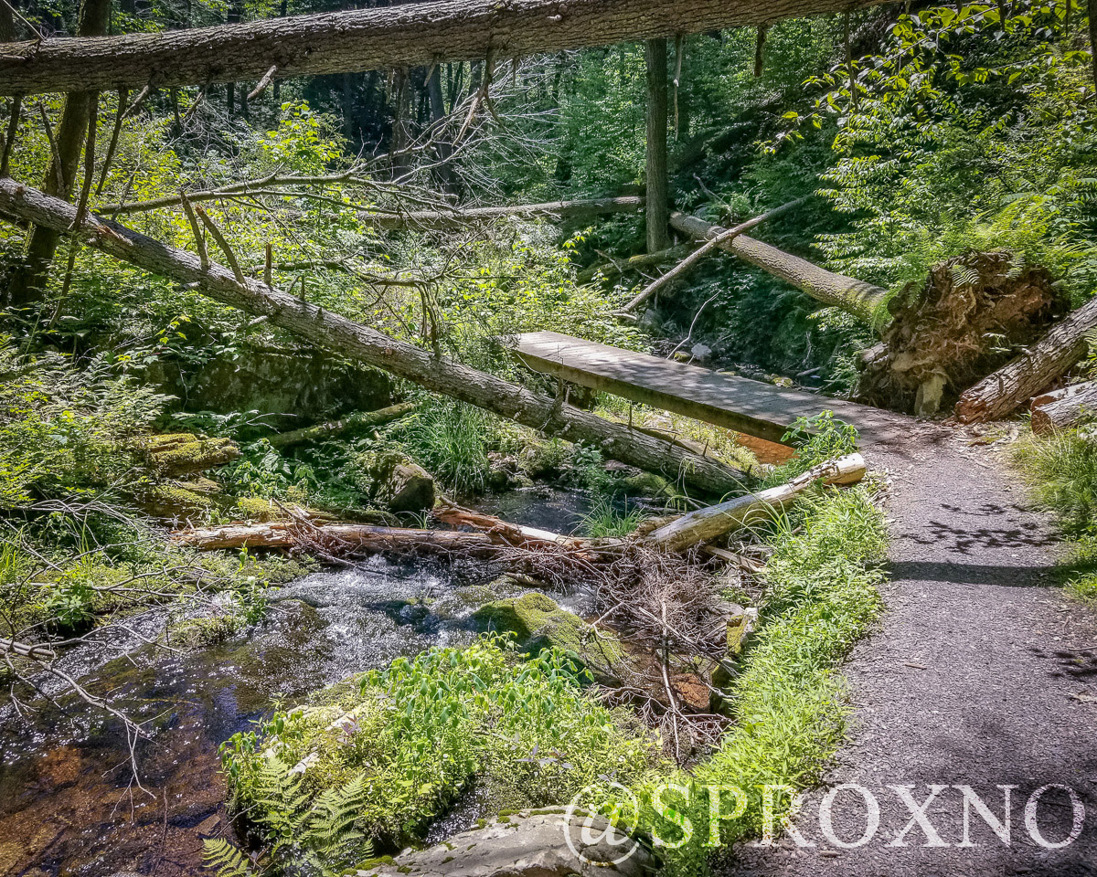 Tillman Ravine Trail Hike - Pushing Myself