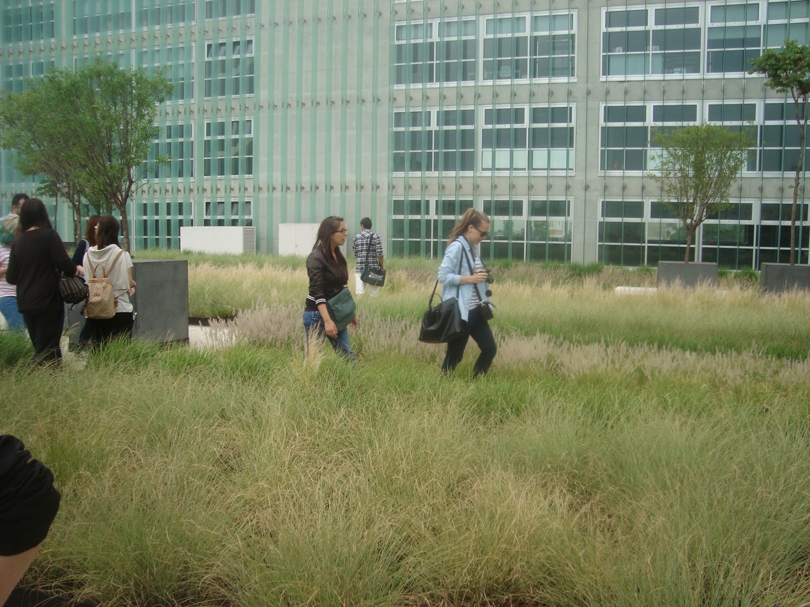 ΤΑΡΑΤΣΟΚΗΠΟΣ...Ο ΚΗΠΟΣ ΤΩΝ ΠΟΛΕΩΝ: Αυγούστου 2013