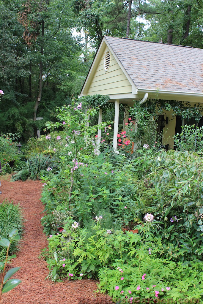 Red House Garden: The Freeman/Byrd Garden