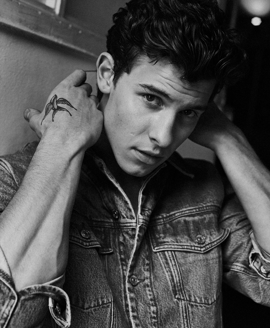 DEMIGODS: Shawn Mendes is Wonderland magazine's Cover Guy