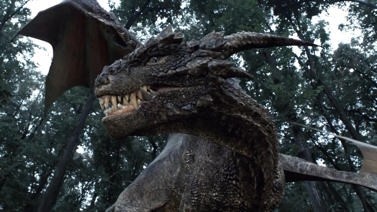 BliZZarraDas: Dragonheart 3: The Sorcerer's Curse (2015)