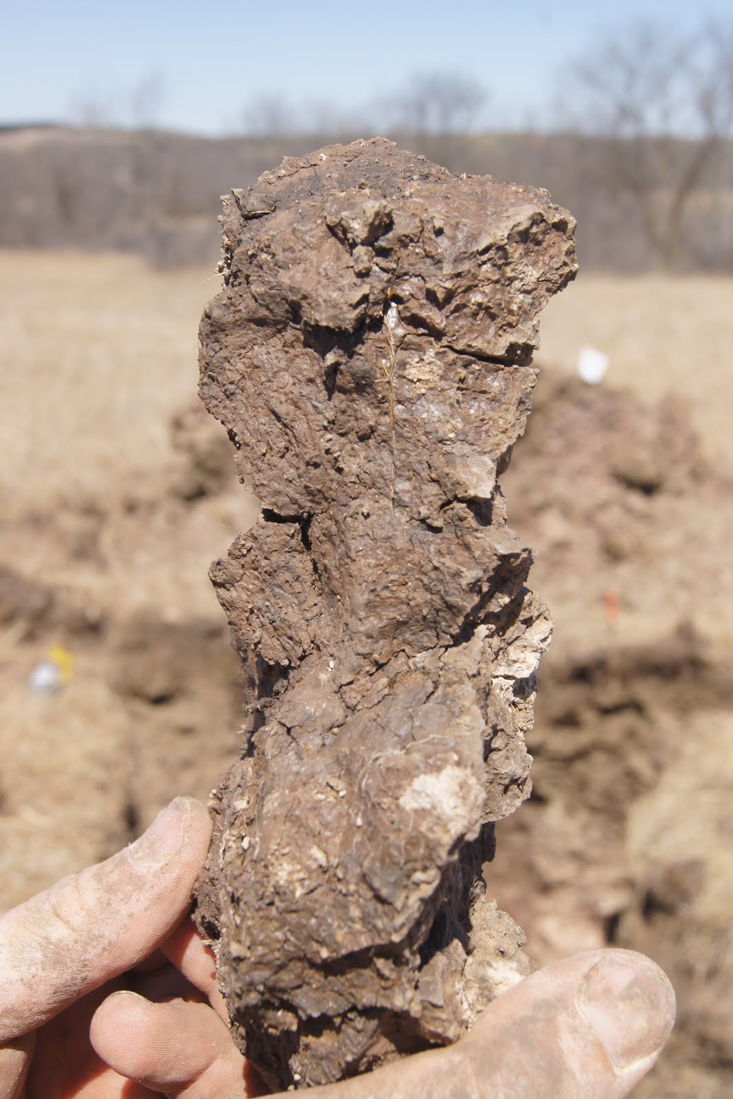 University of Minnesota Soil Judging Team: April 2016