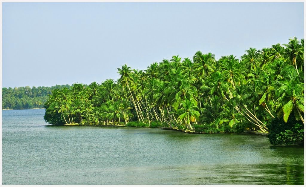 God's Own Country - Kerala: Backwater Tourism of Kerala