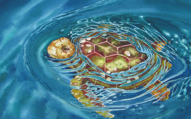 Makerita: Swimming With The Turtles In Samoa