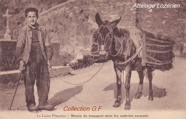 Mes passions, mes collections: juin 2013