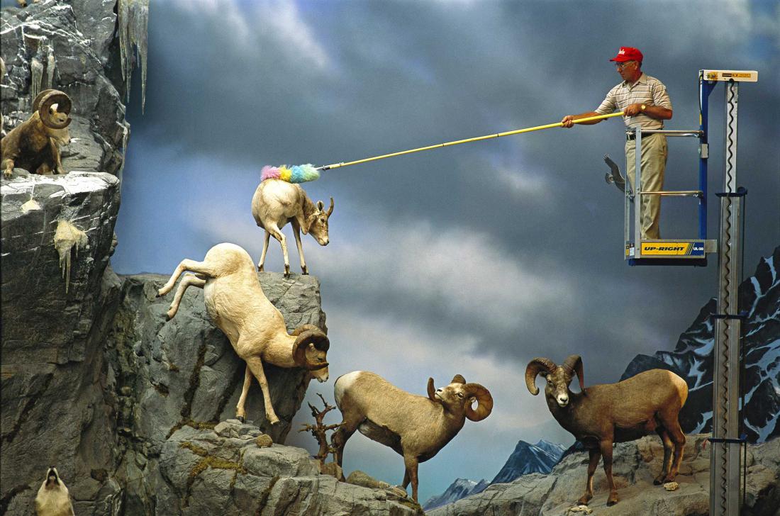 8 Extremely Rare Photographs That You Must See - Bestofshayari