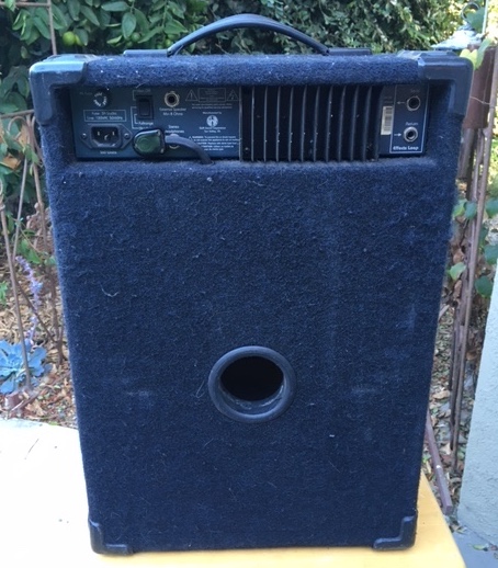 Rex and the Bass: Vintage 1999 SWR Workingmans 12 Bass Amplifier Review