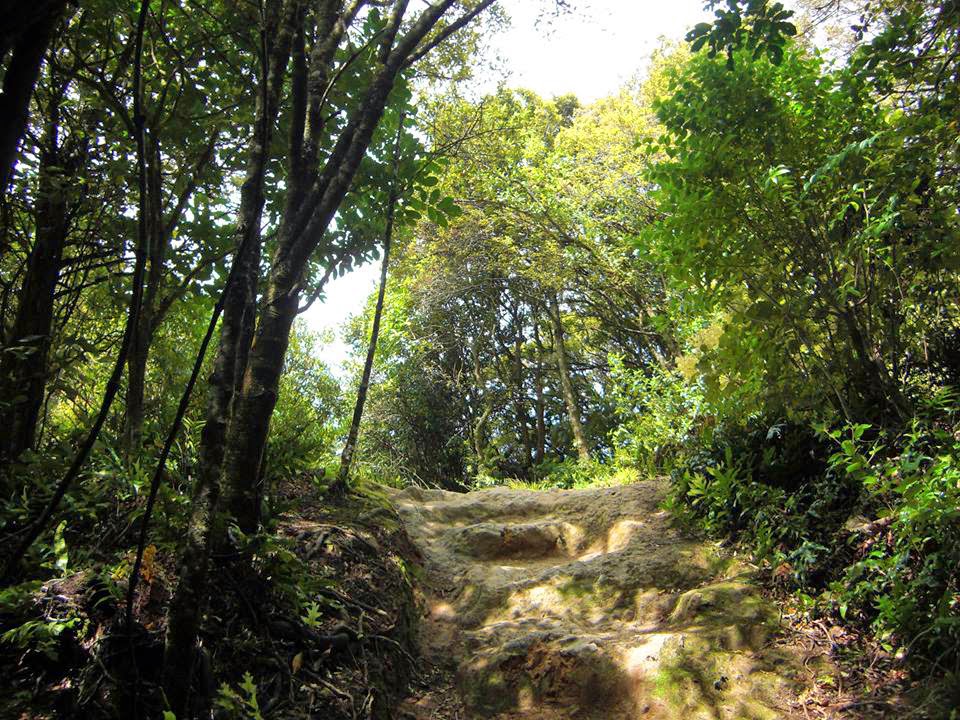 Wellington Daily Photo: #2734 ... Mt Kau Kau