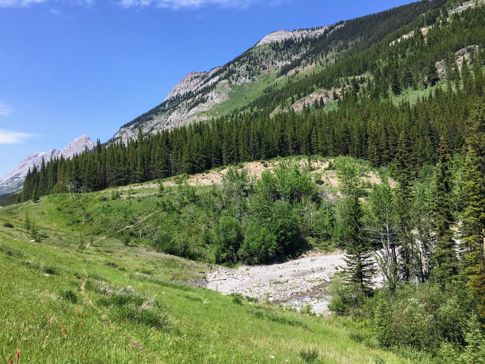 Family Adventures in the Canadian Rockies: King Creek Ridge - Family ...
