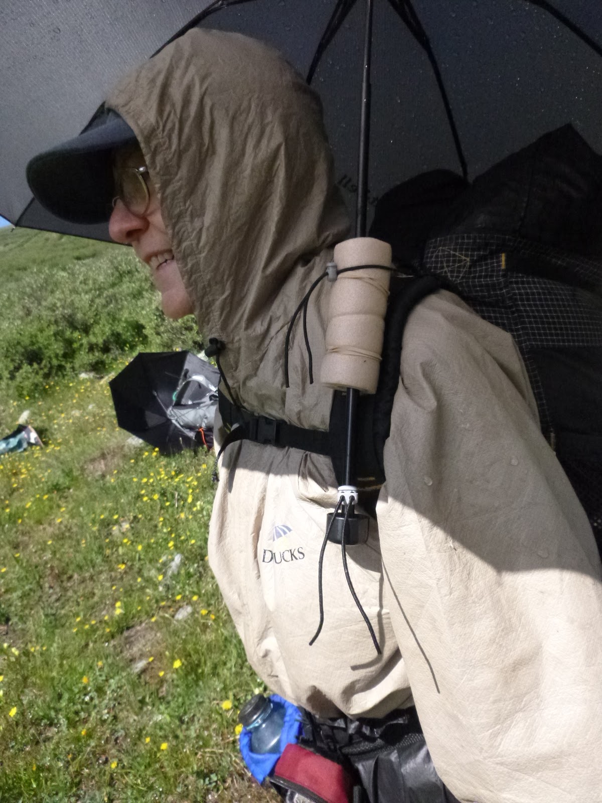 Ultralight Insights -- What's New and Exciting for Ultralight ...