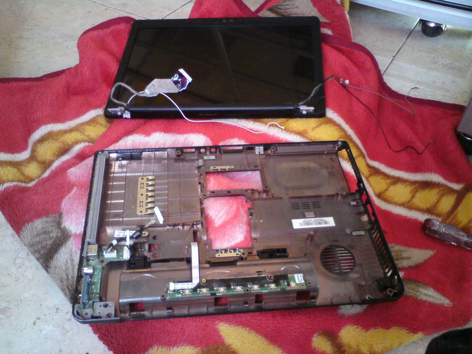 MPC.microplus,computer