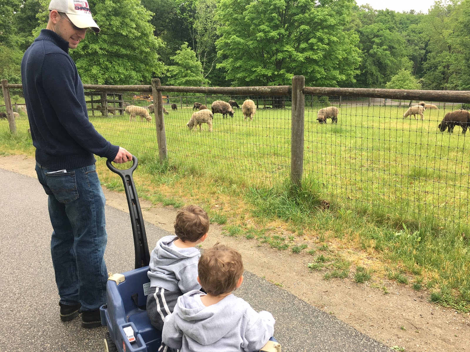 Drumlin Farm - Lincoln, MA