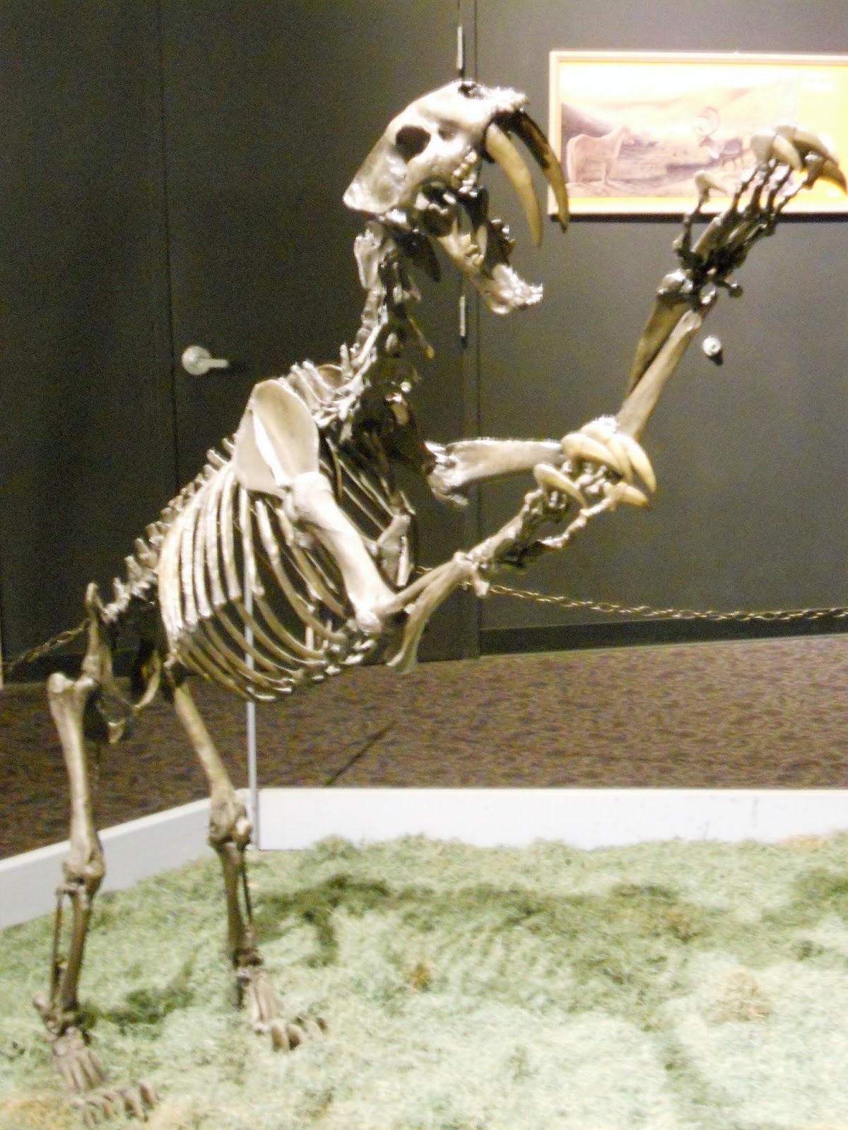 Prehistoric Beast of the Week: Smilodon: Beast of the Week