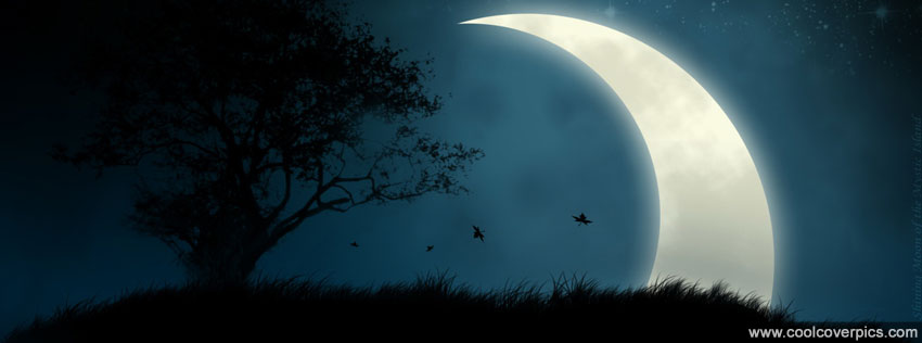 FACEBOOK PROFILE PICS AND COVERS