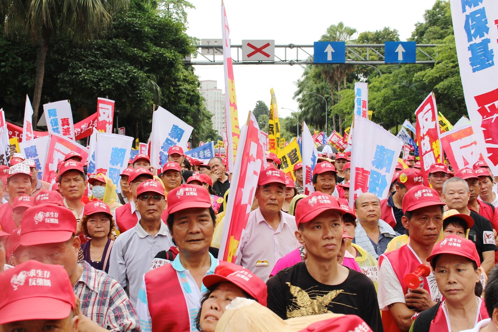The Participant Observer: The Chicken Protest