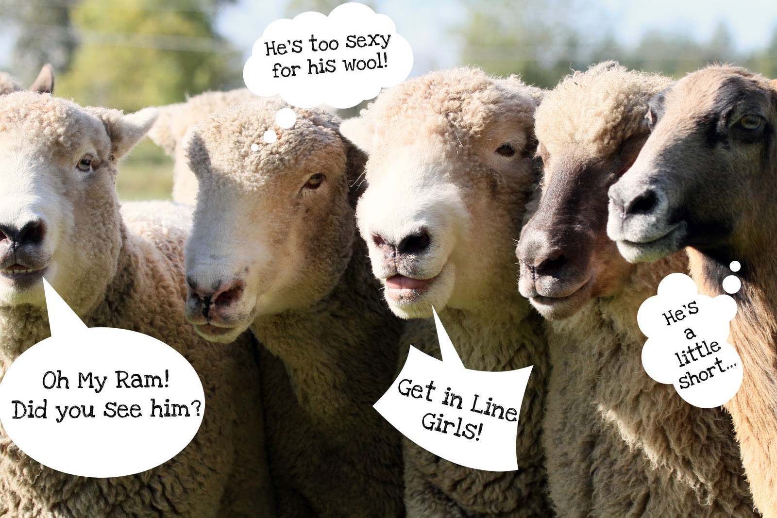 BCxFour: October 2011