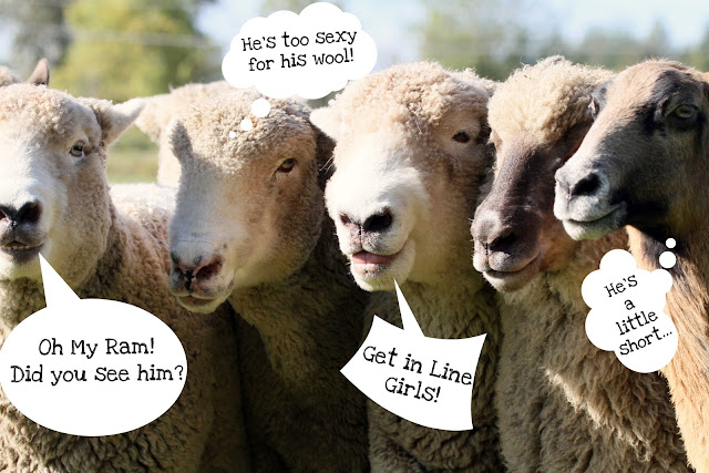 BCxFour: October 2011