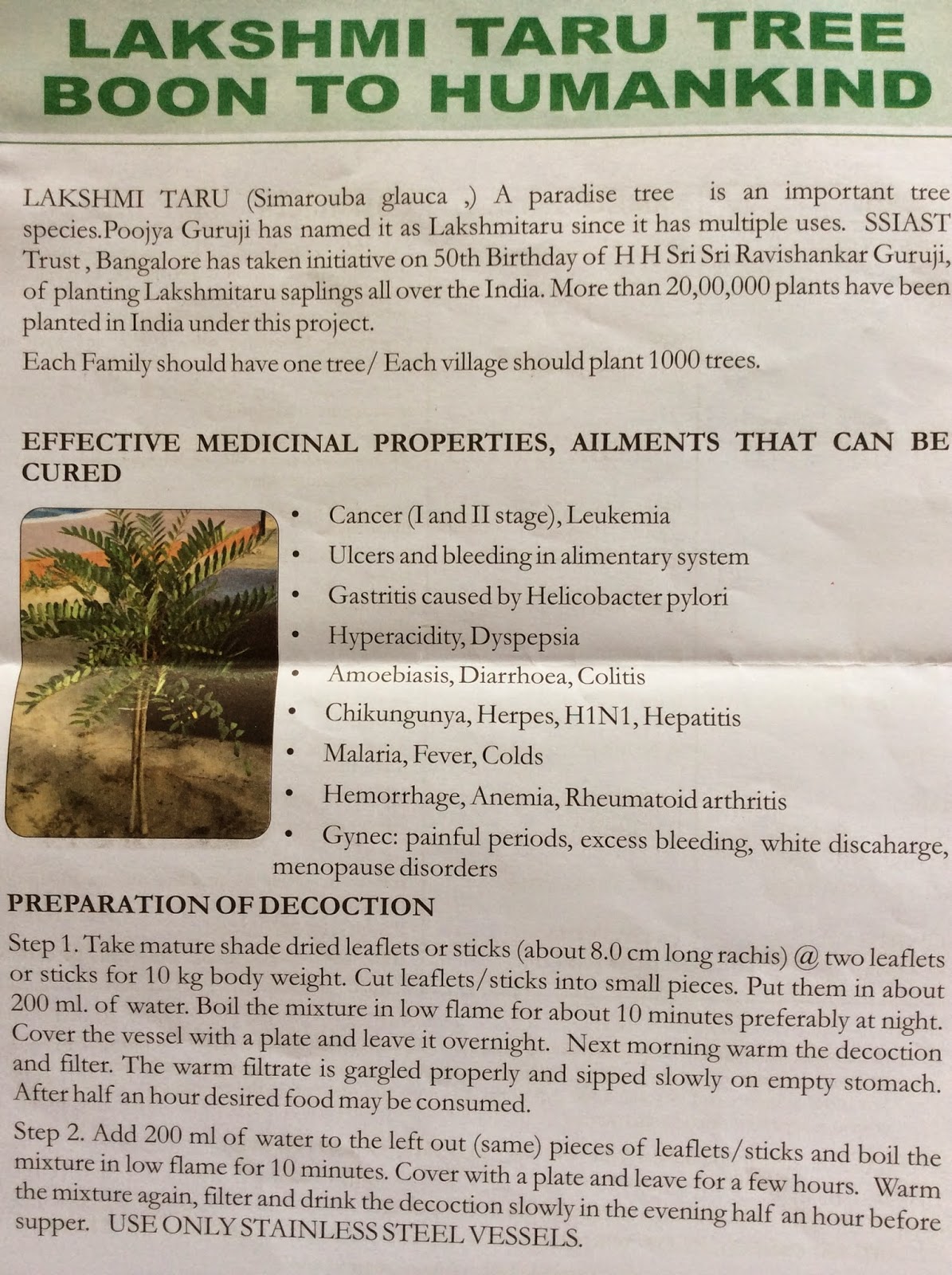 Welcome to my world: Lakshmi Taru Tree Boon to Humankind