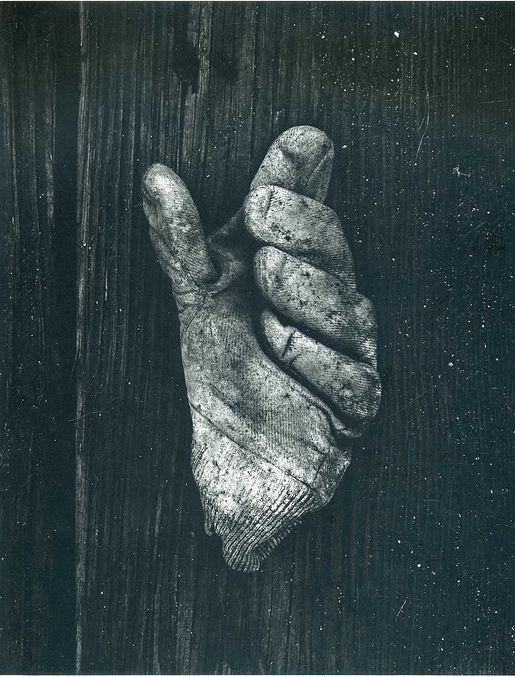 Anthony Luke's not-just-another-photoblog Blog: Photographer Profile ...