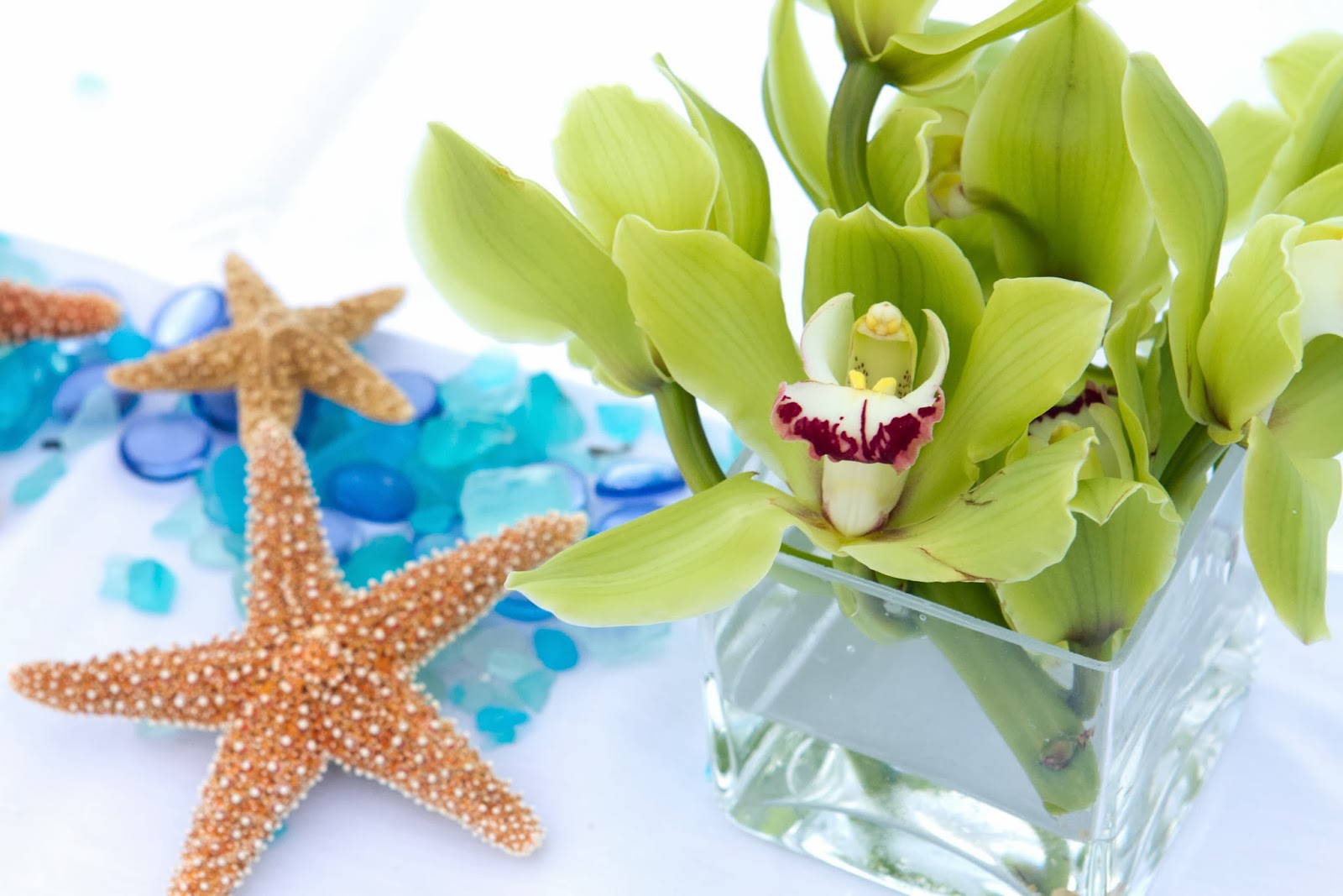 Elegant Occasions: Bahamian-Style Wedding