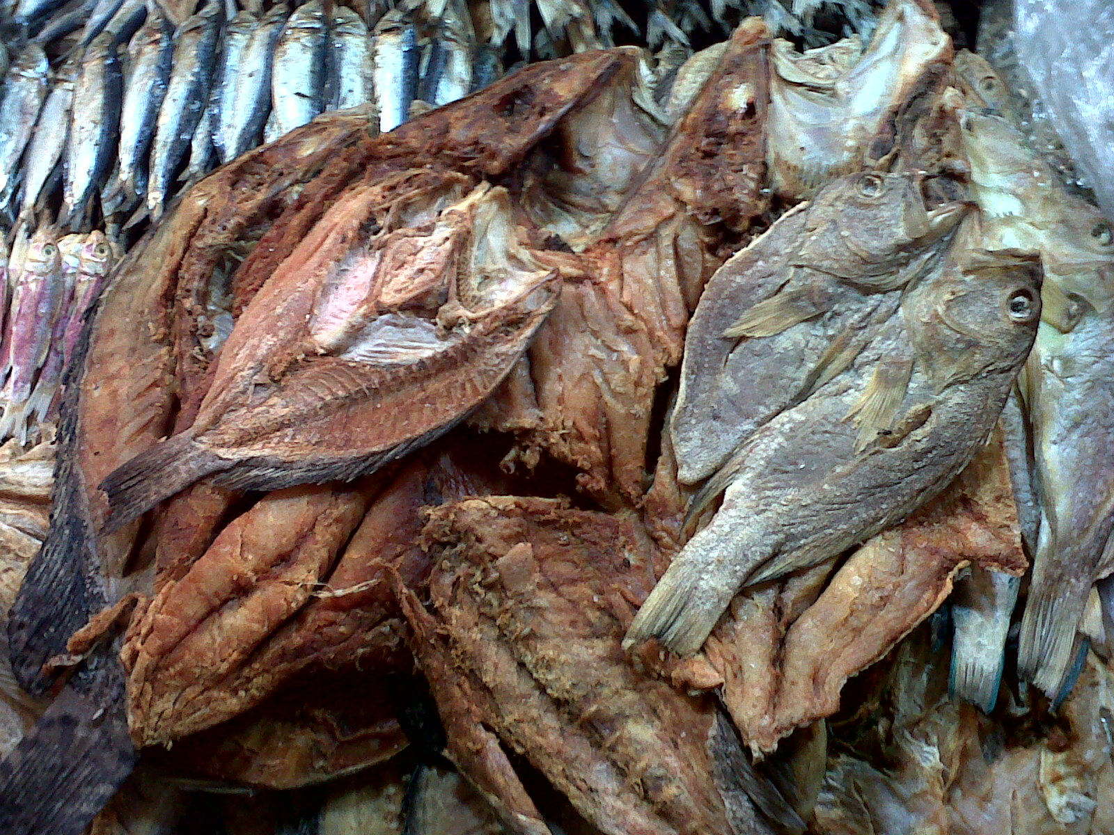 November 2012 | Hello from Davao.