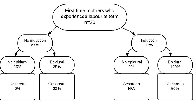 Vancouver Doula (...and Slow Birth): Cascade of interventions in first ...