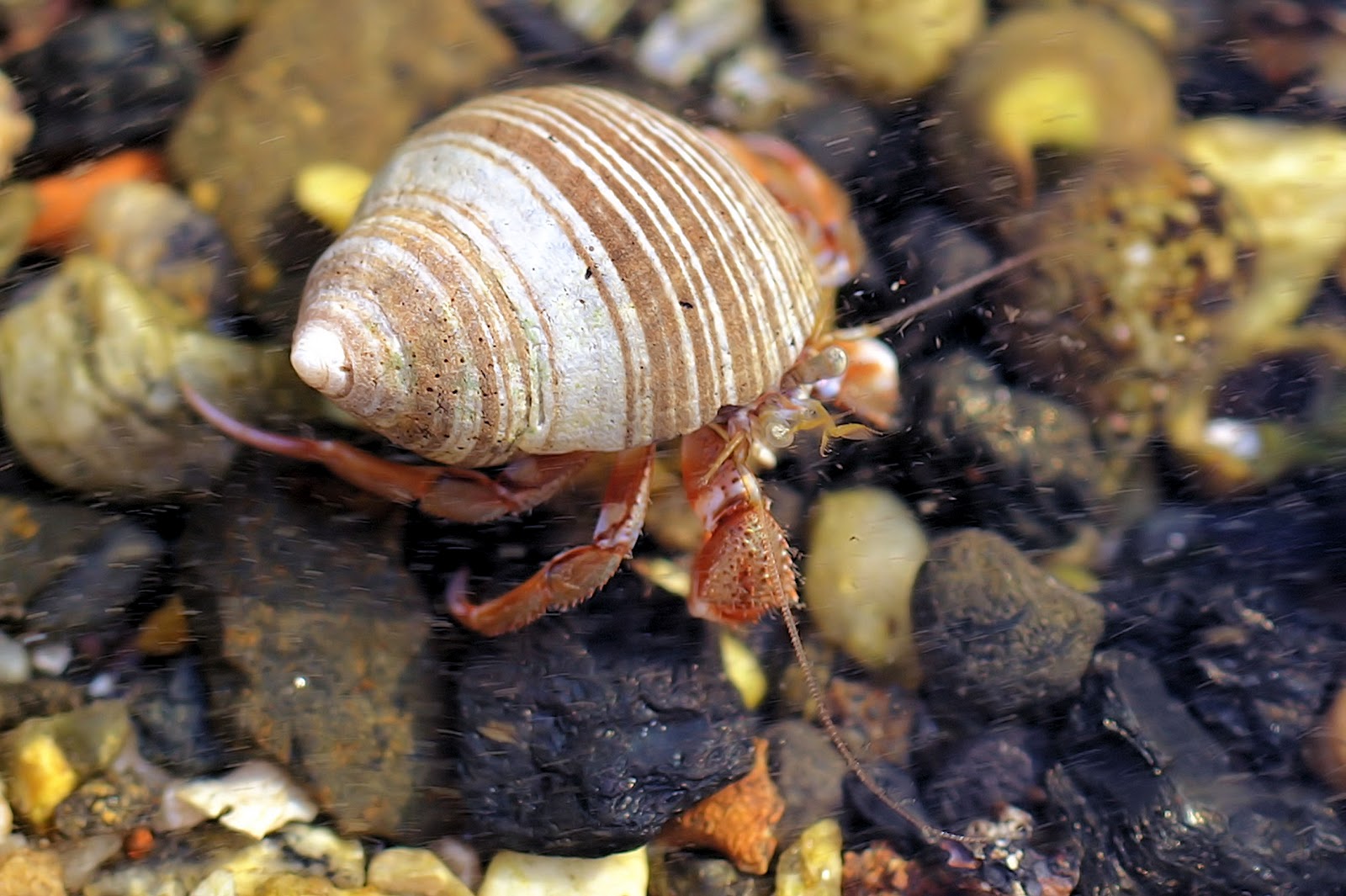 Kara Stewart, Art in Photography: Haven