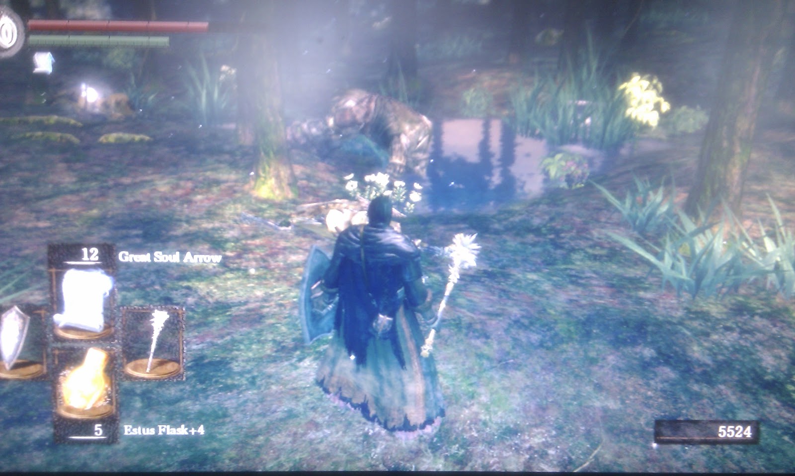 Dark Souls Blog: Blue titanite slab location - Royal Wood