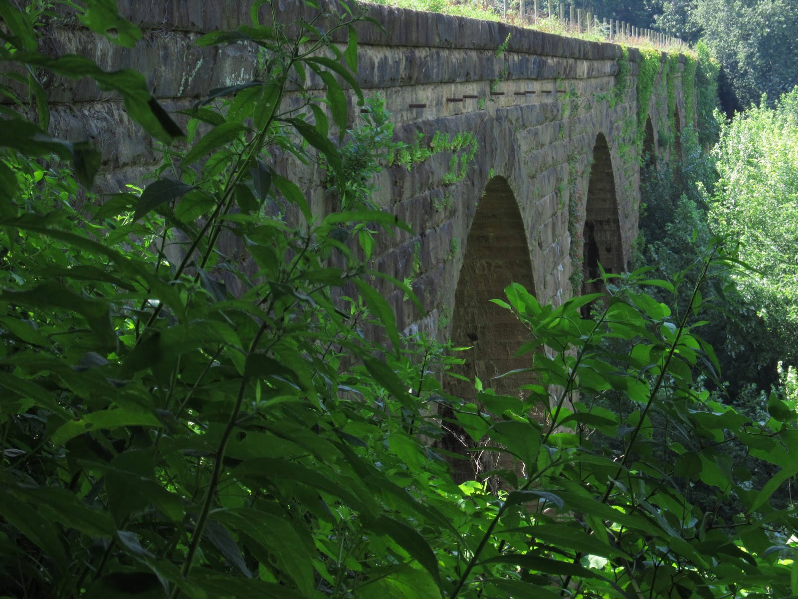 Old Industry of Southwestern Pennsylvania : Off of the West Penn Trail ...