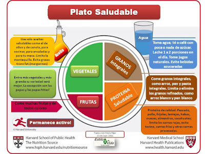 Xaudar-Salud: El plato para comer Saludable.